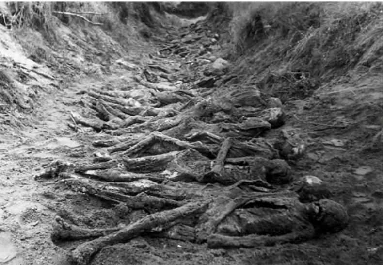 Soviet Footage from the 1940s and the Holocaust at Babyn Yar, Kyiv